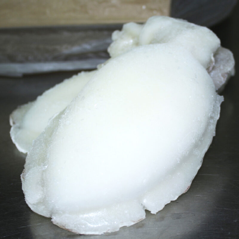 Cuttlefish – Eurofishlodi.com