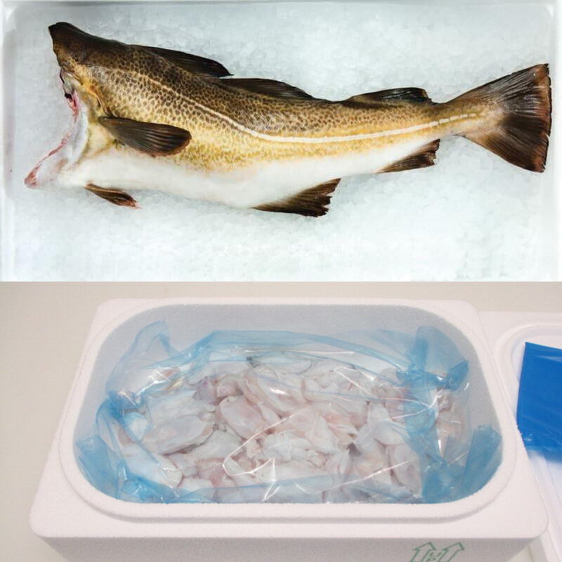 Skrei Cod – Eurofishlodi.com