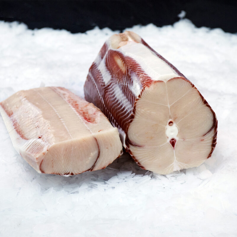 Longes / Filets de Requin peau bleue – Eurofishlodi.com